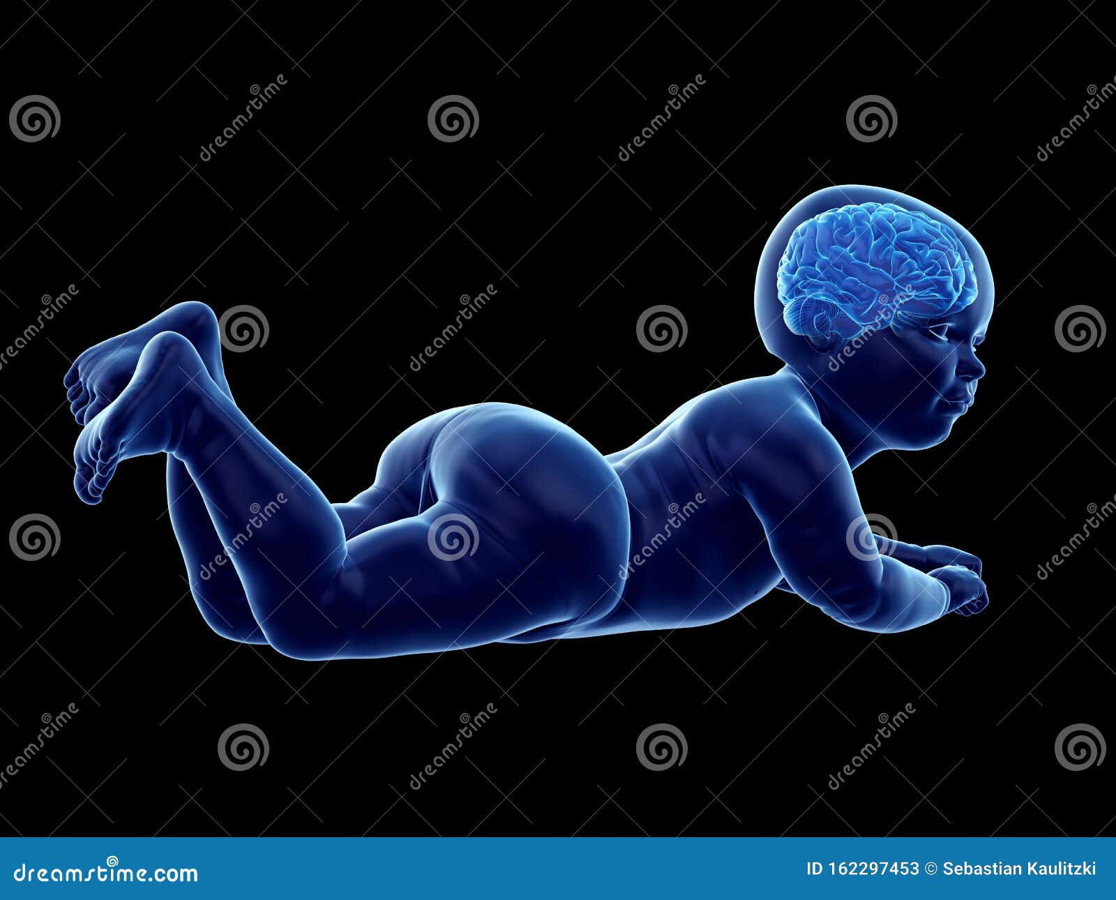 The brain of a baby stock illustration. Illustration of system - 162297453