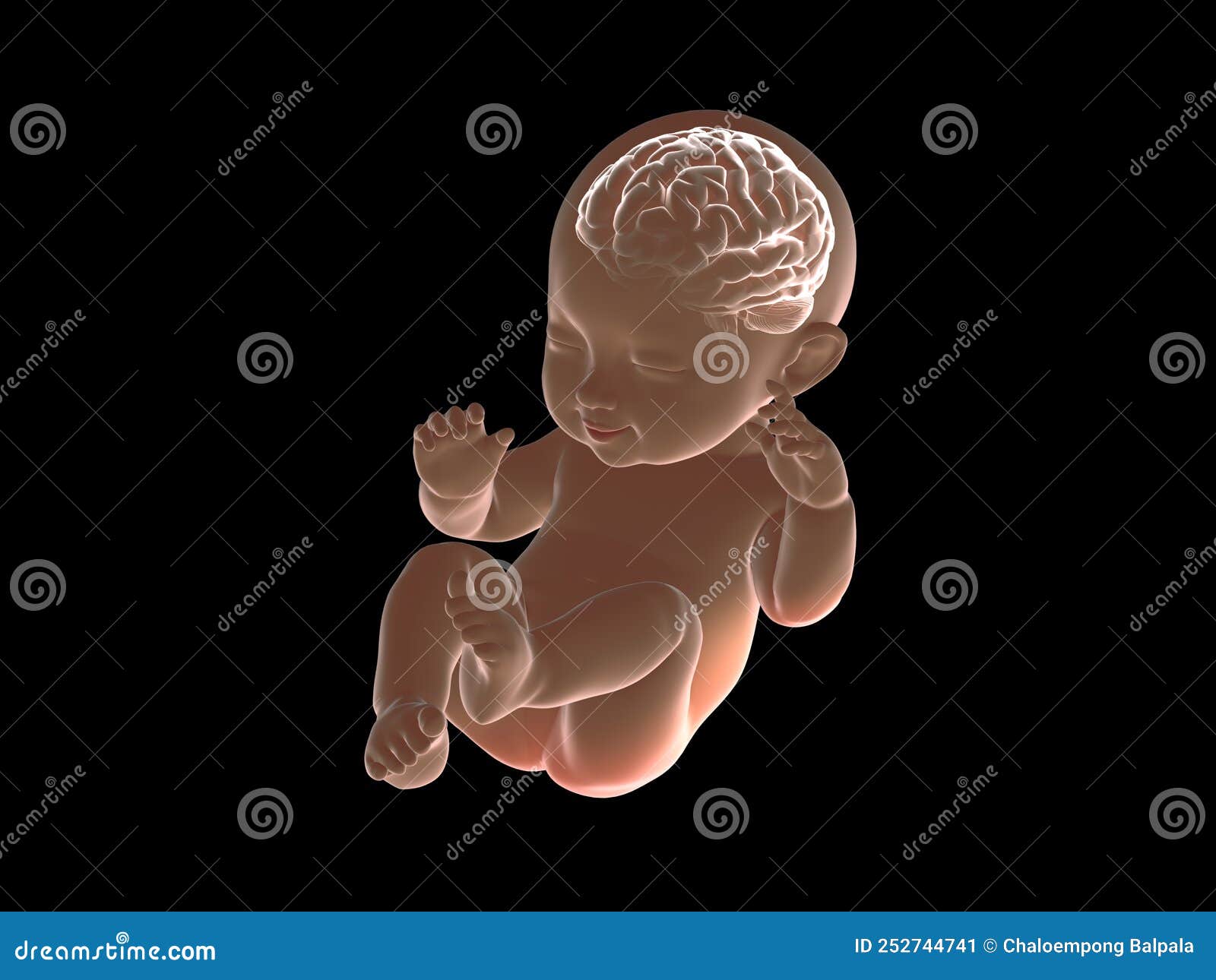Brain of Baby X-ray Graphic. Stock Illustration - Illustration of hand ...