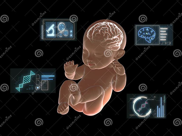 Brain of Baby X-ray Graphic with Graphics Research on Screen. Stock ...