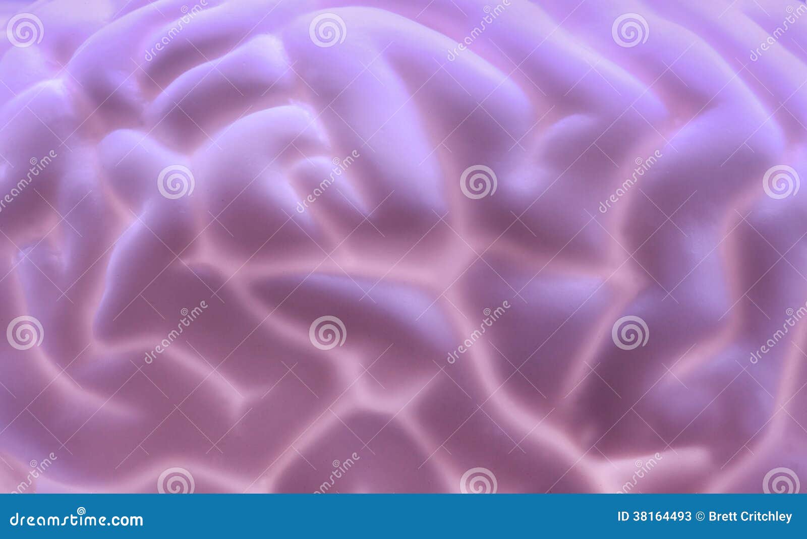 Brain background stock image. Image of biology, human - 38164493