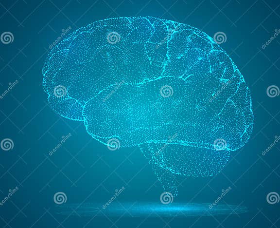 Brain 01-bl [Converted stock vector. Illustration of brain - 204772136