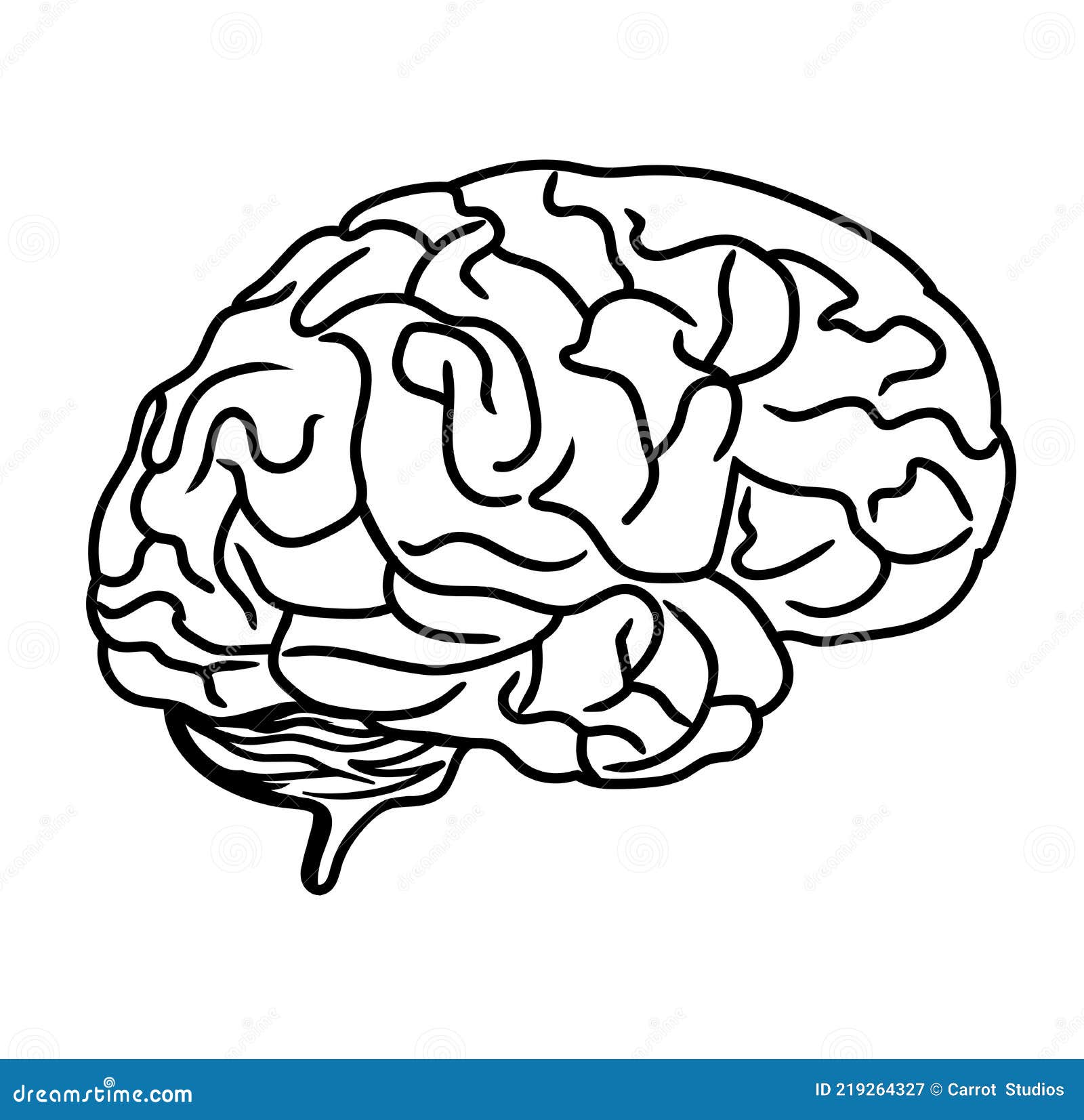 Brain black line drawing stock vector. Illustration of organ - 219264327