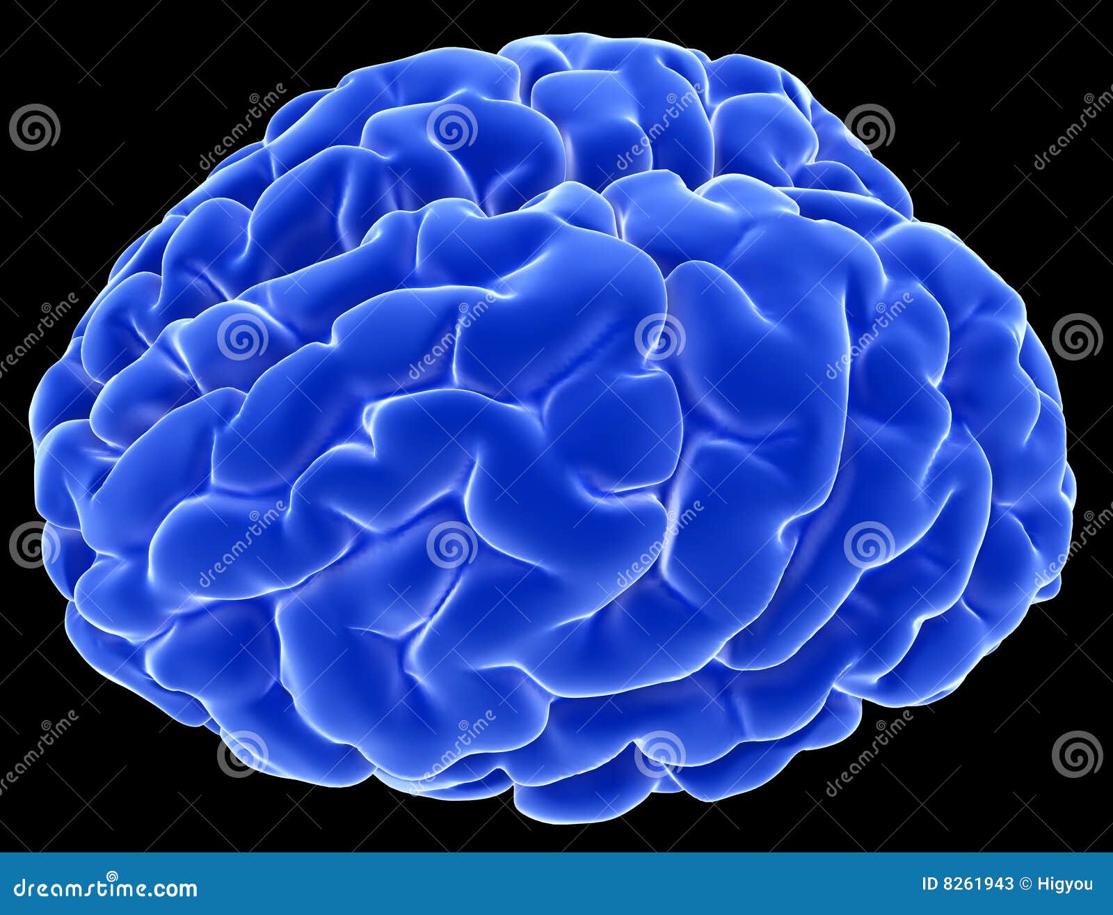 Brain Blue stock illustration. Illustration of cerebral - 8261943