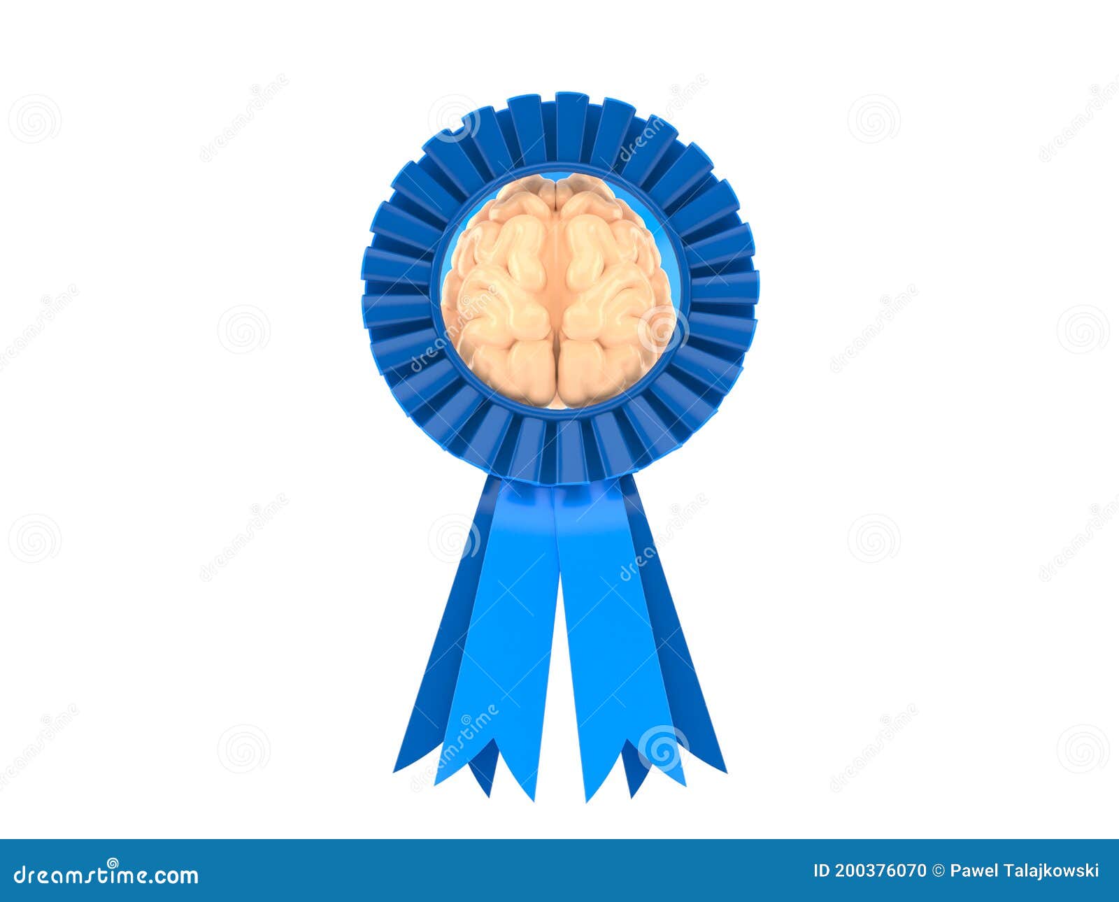 Brain with Blue Award Ribbon Stock Illustration - Illustration of brain ...