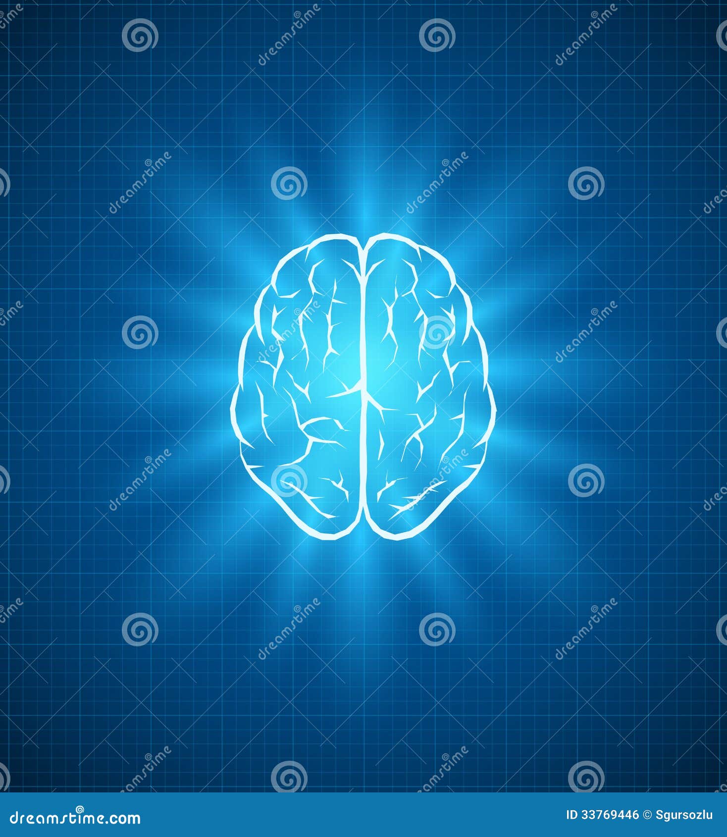 The Brain's Blueprint: Mapping Neuronal Connections Communication ...