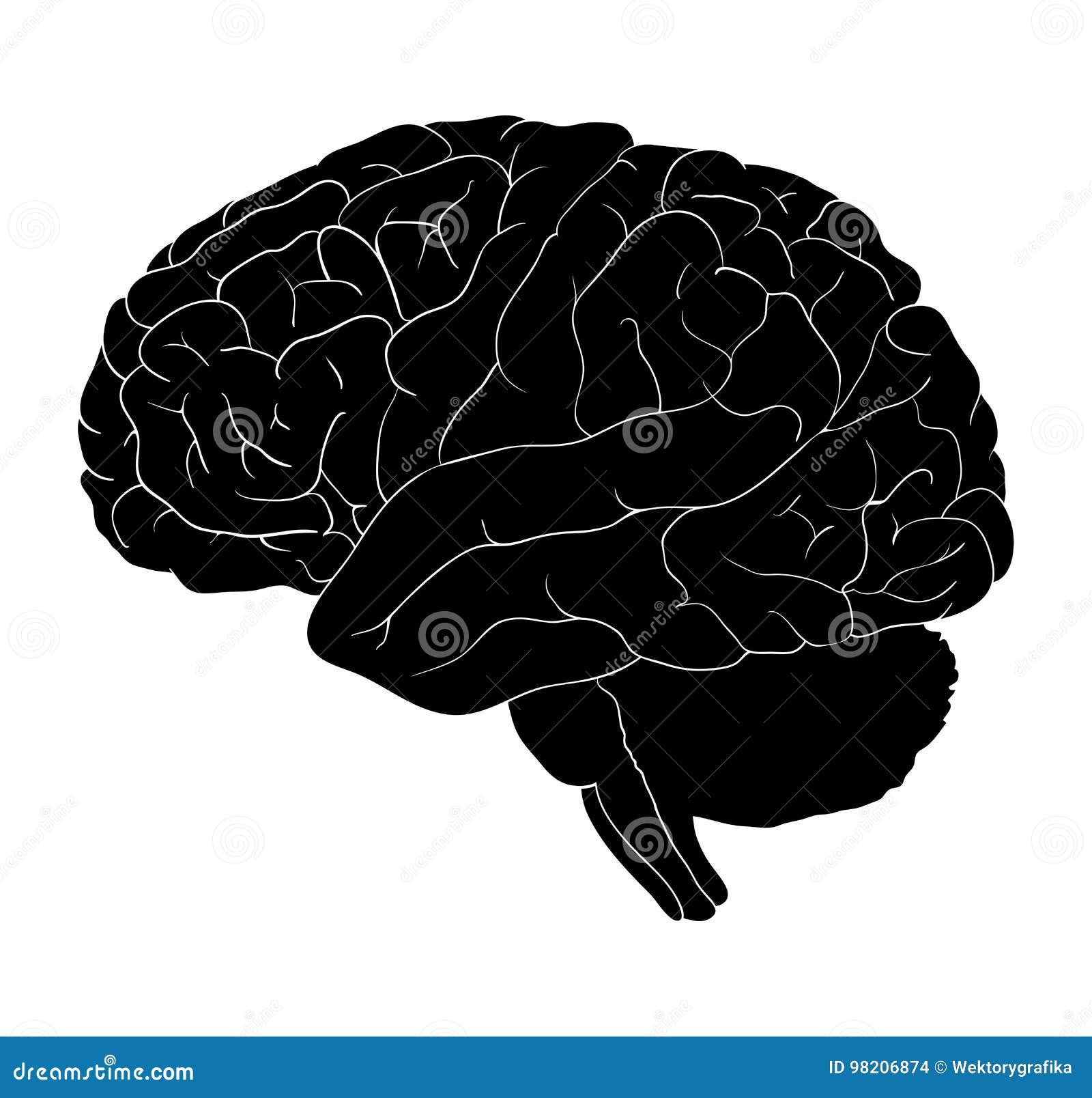 Brain Cartoon Vector Symbol Icon Design. Beautiful Illustration Stock ...