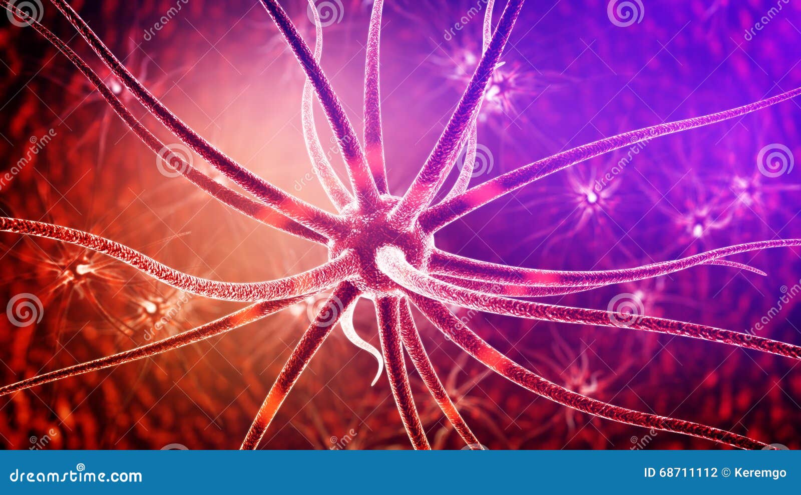 Brain Cell stock illustration. Illustration of live, bodies - 68711112