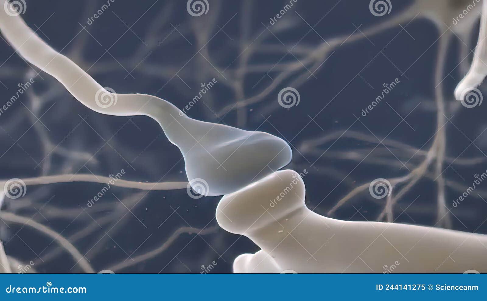 Brain Cell Synapse Showing Chemical Messengers or Neurotransmitters ...