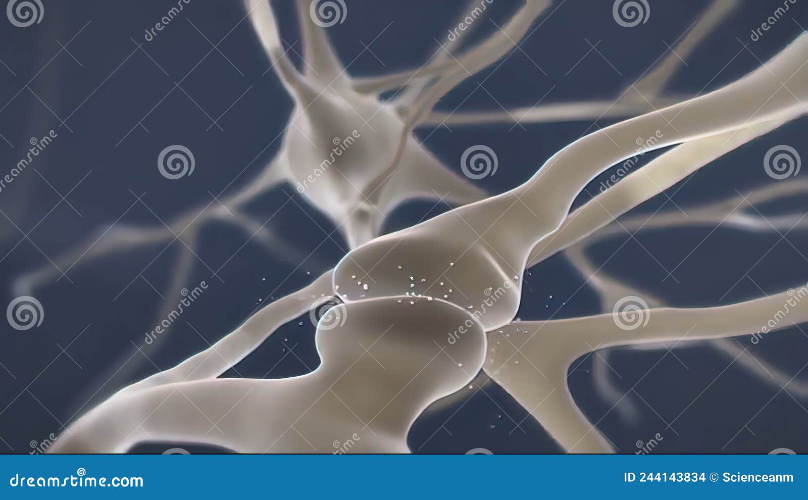 Brain Cell Synapse Showing Chemical Messengers or Neurotransmitters ...