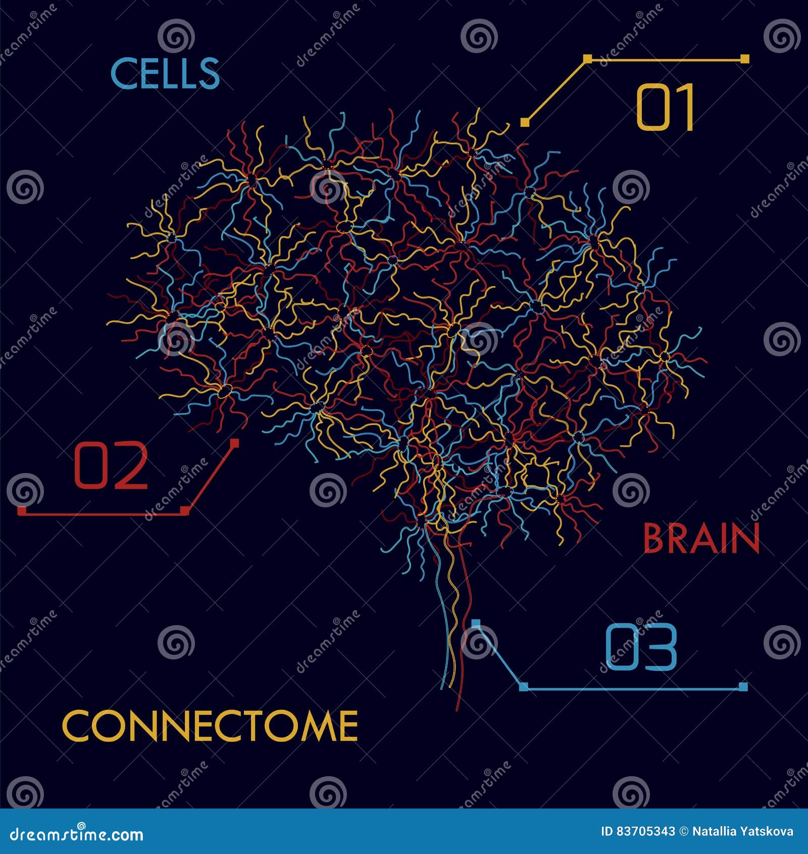 Brain cells connectome stock vector. Illustration of communication ...