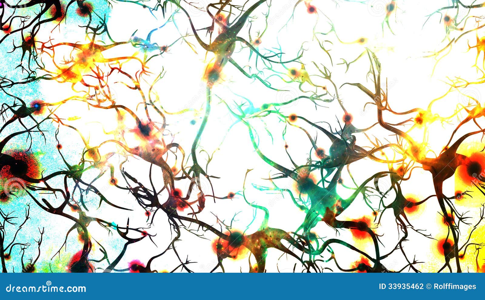 Brain Cells Stock Photography | CartoonDealer.com #175458260