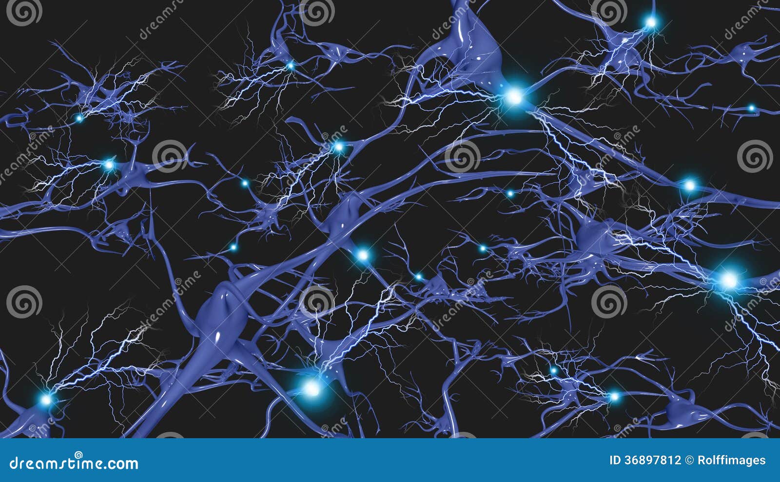 Brain Cells Stock Photography | CartoonDealer.com #175458260