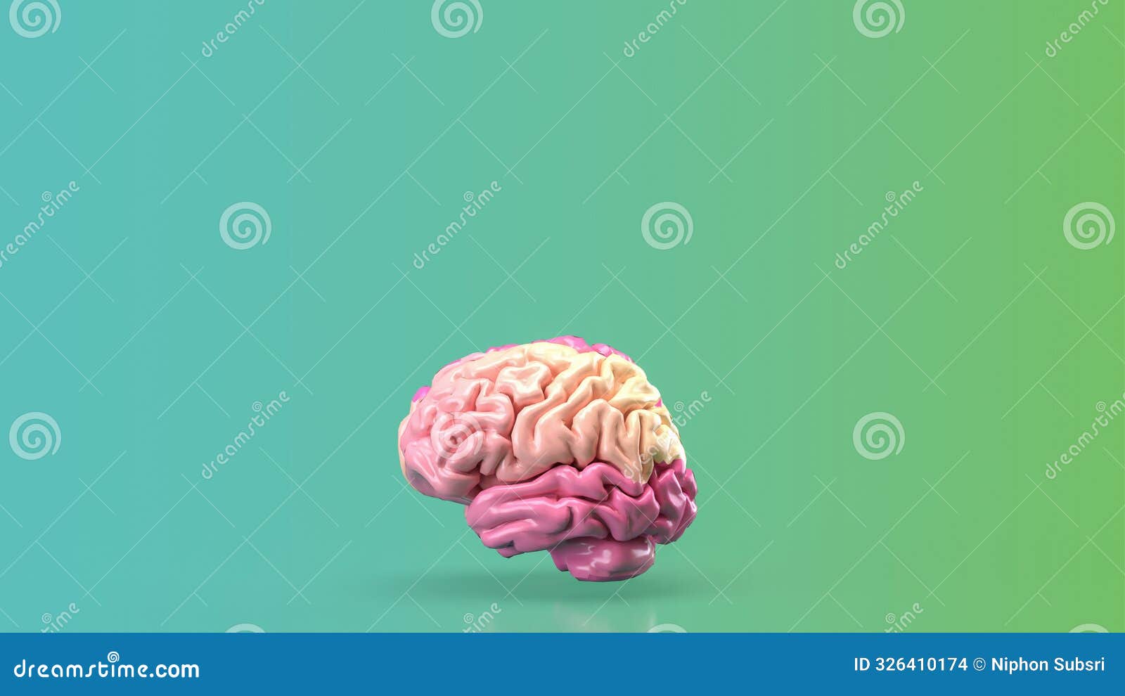 The Pink Brain for Eduction or Creative Concept 3d Rendering Stock ...