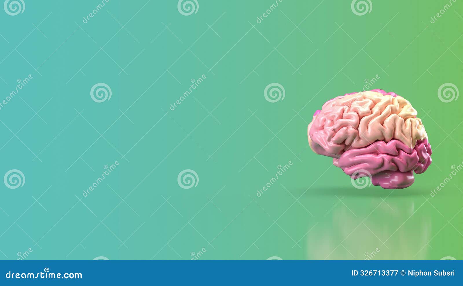 The Pink Brain for Eduction or Creative Concept 3d Rendering Stock ...