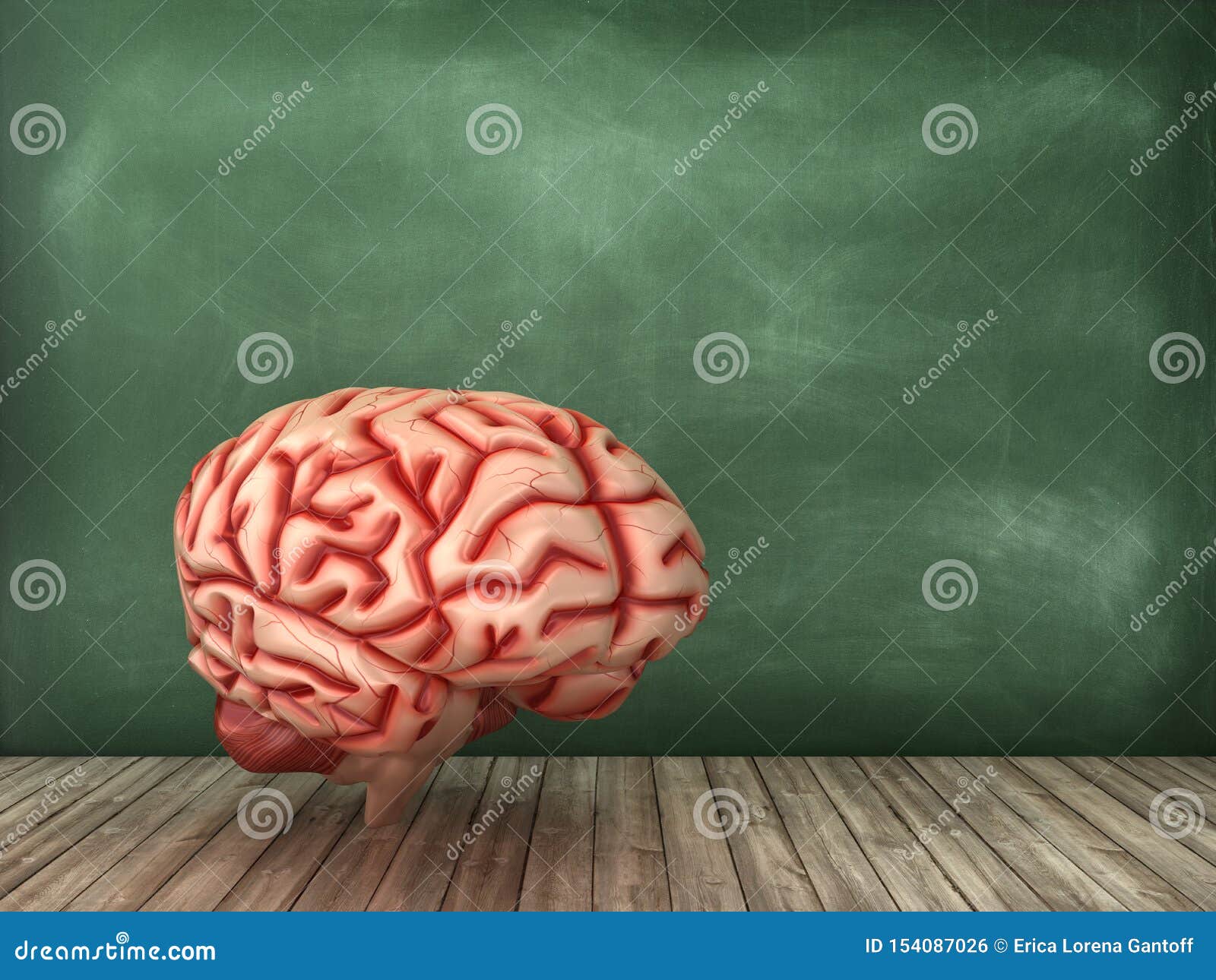 Brain on Chalkboard Background Stock Illustration - Illustration of ...