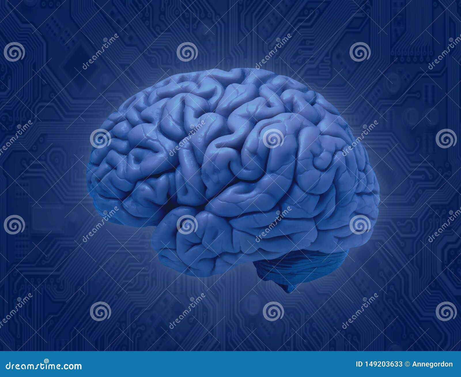 Brain Conection Logos Royalty-Free Stock Photo | CartoonDealer.com ...