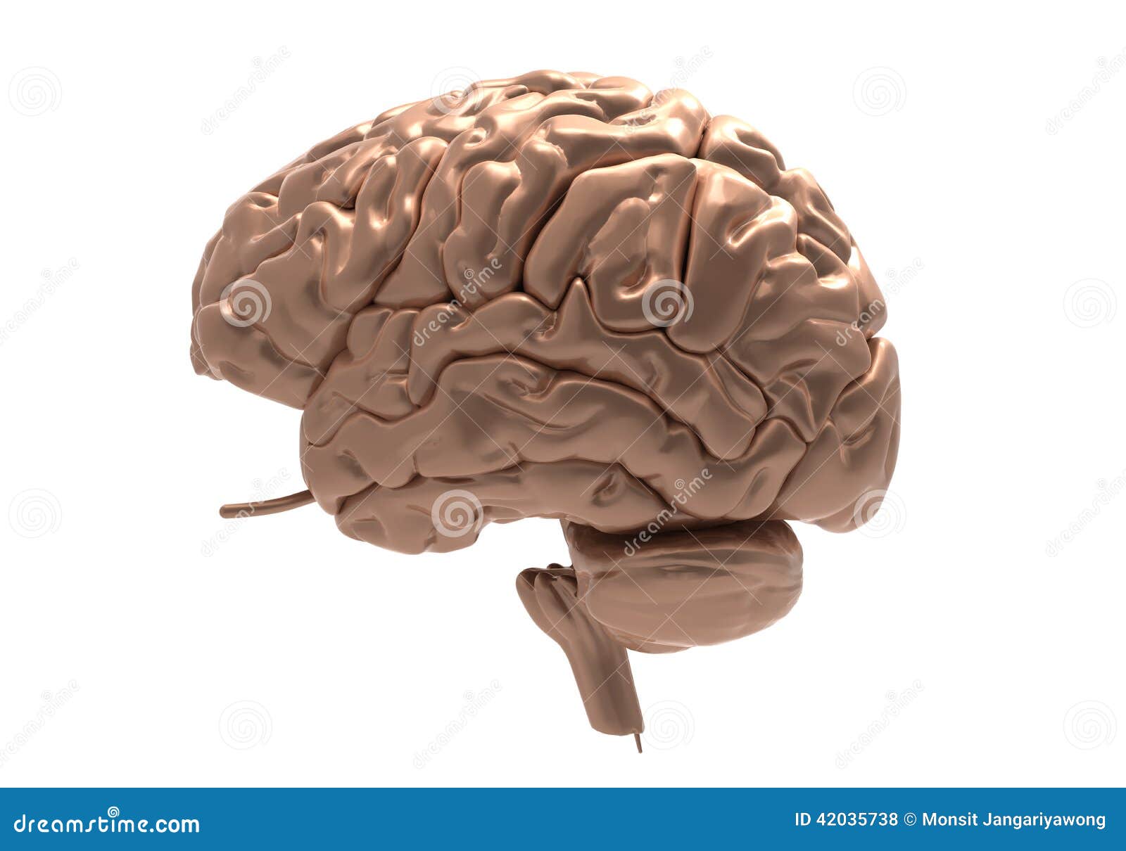 Brain With Clipping Mask Royalty-Free Stock Image | CartoonDealer.com ...