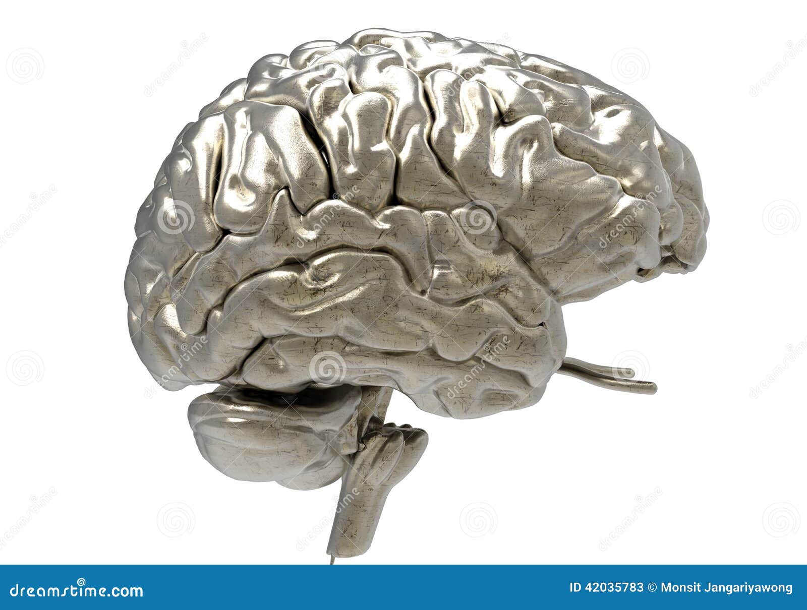 Brain With Clipping Mask Royalty-Free Stock Photography | CartoonDealer ...