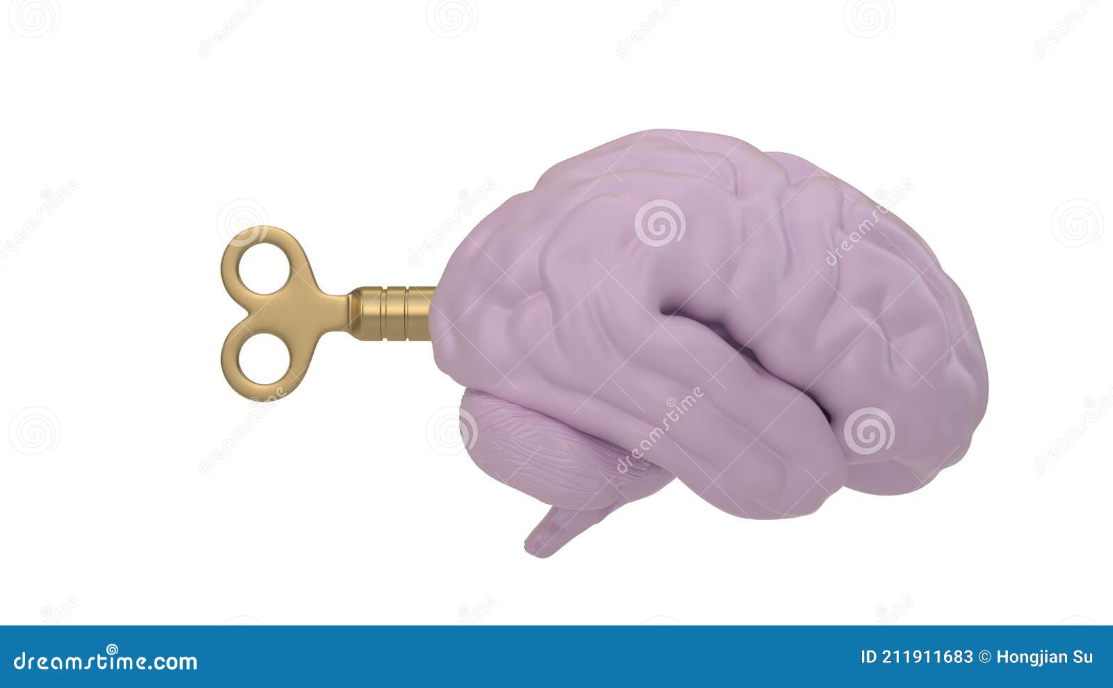 Brain with Clockwork Key Isolated on White Background, 3D Rendering. 3D ...