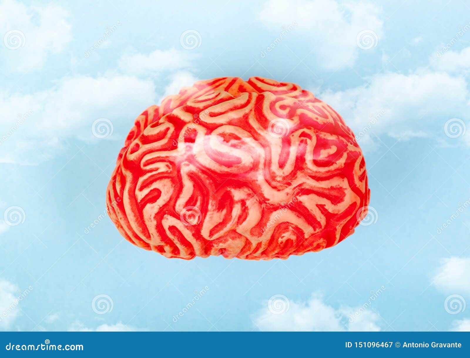 Brain in the Clouds in the Blue Sky Stock Image - Image of biology ...