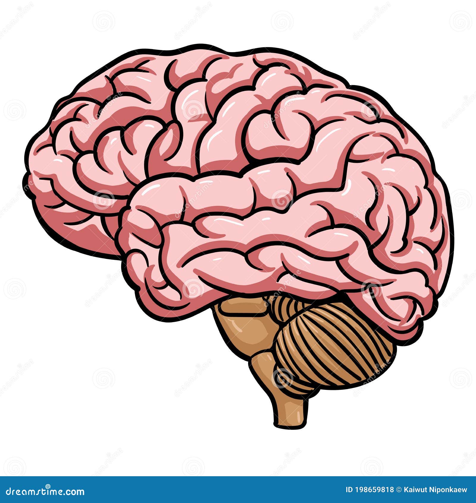 Brain. Comics Drawing stock vector. Illustration of drawing - 198659818
