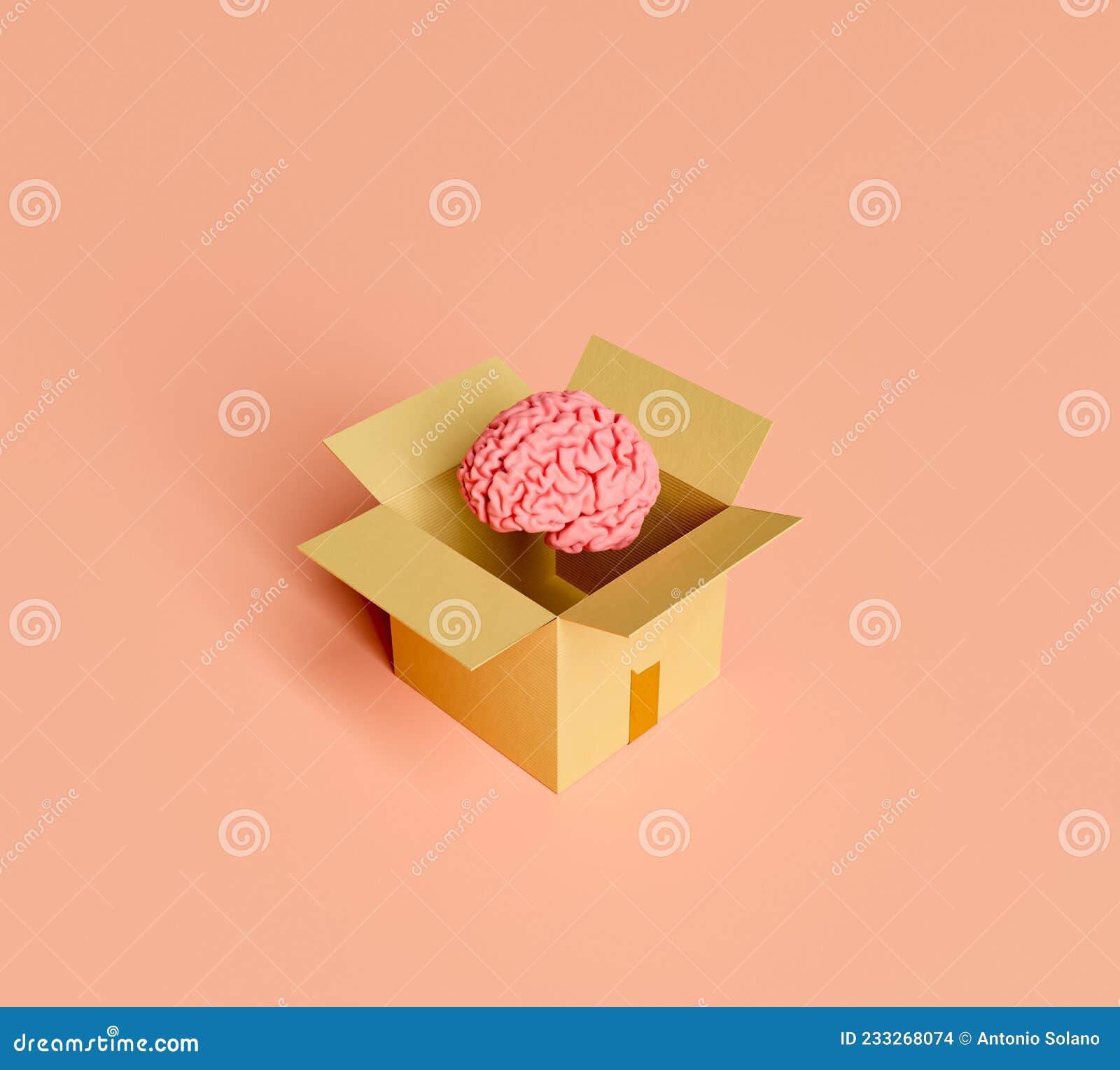 Brain Coming Out of a Cardboard Box Stock Illustration - Illustration ...