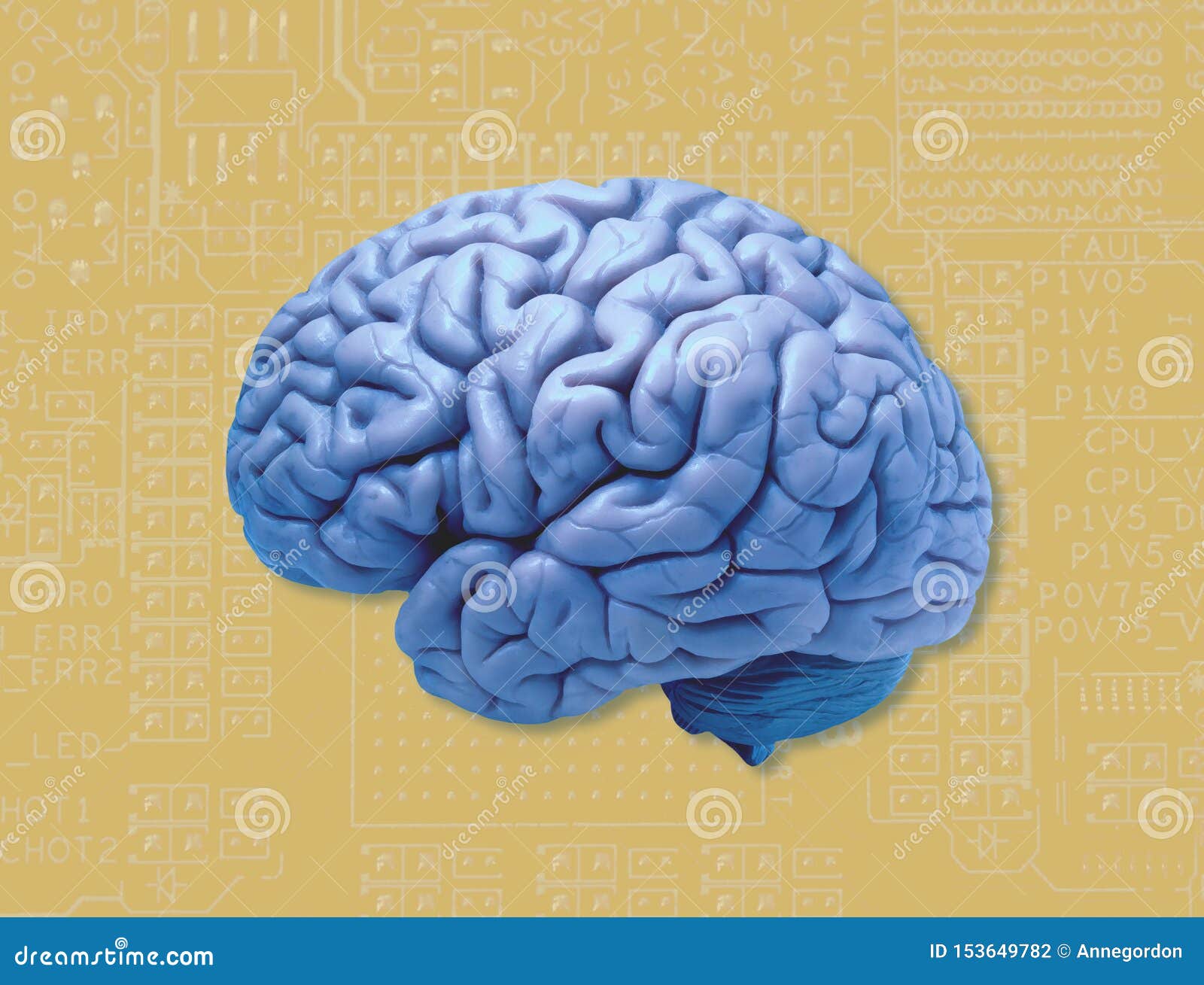 A Brainâ€“computer Interface Stock Illustration - Illustration of head ...