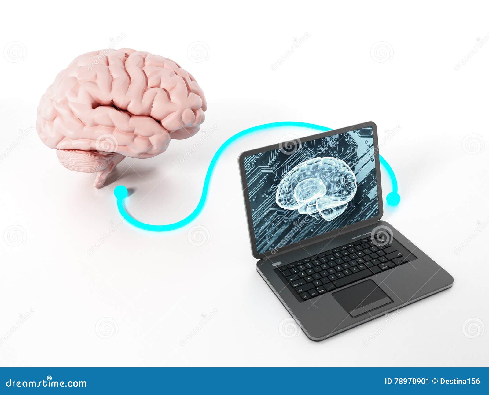 Brain Connected To the Laptop Computer. 3D Illustration Stock ...