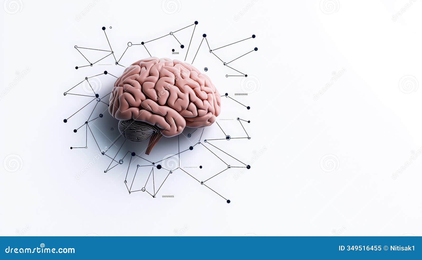 Brain with Connecting Network on White Background Stock Illustration ...