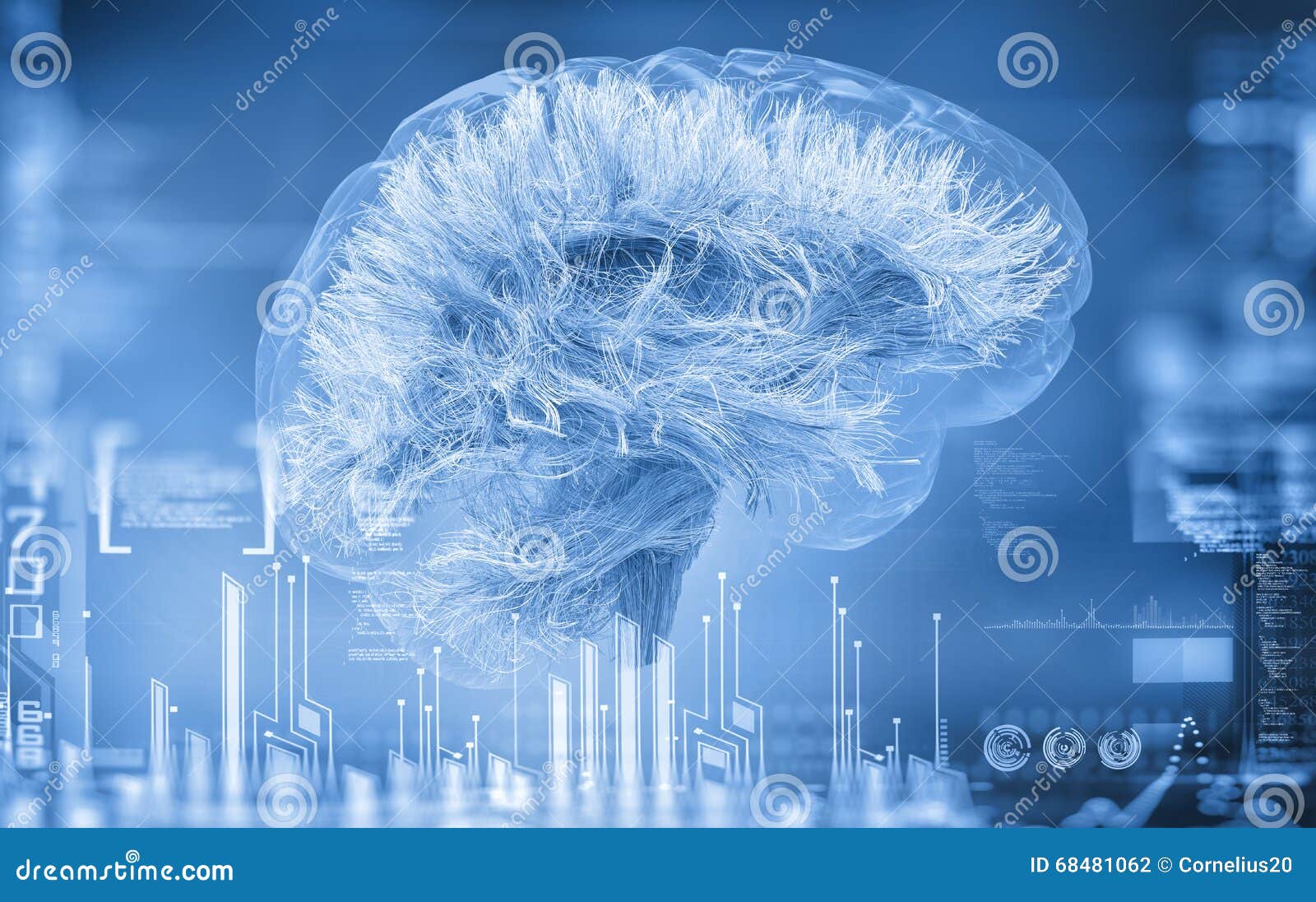 Brain connections stock illustration. Illustration of intellect - 68481062