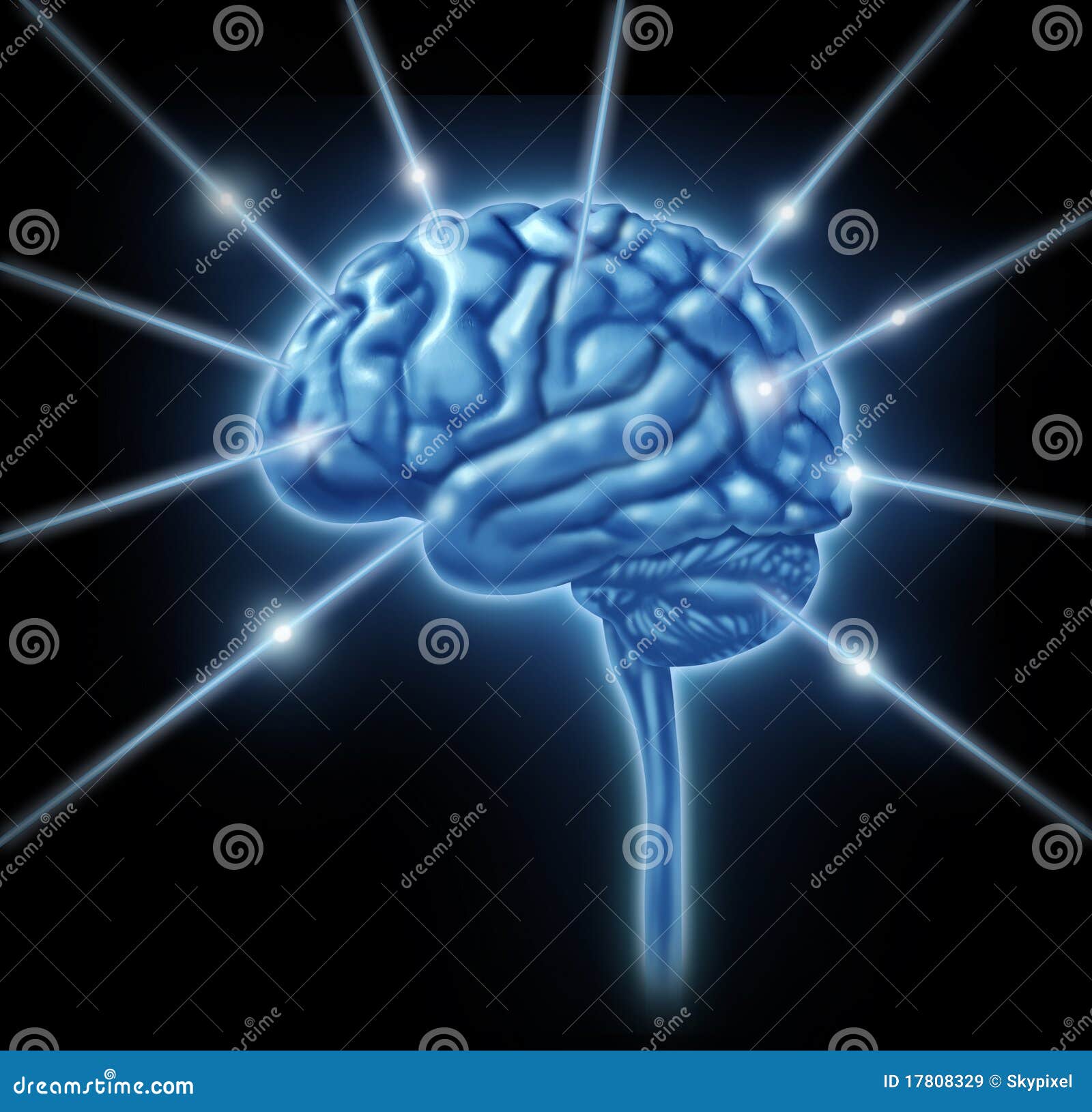 Brain Connections Intelligence Lobe Sections Divis Stock Illustration ...
