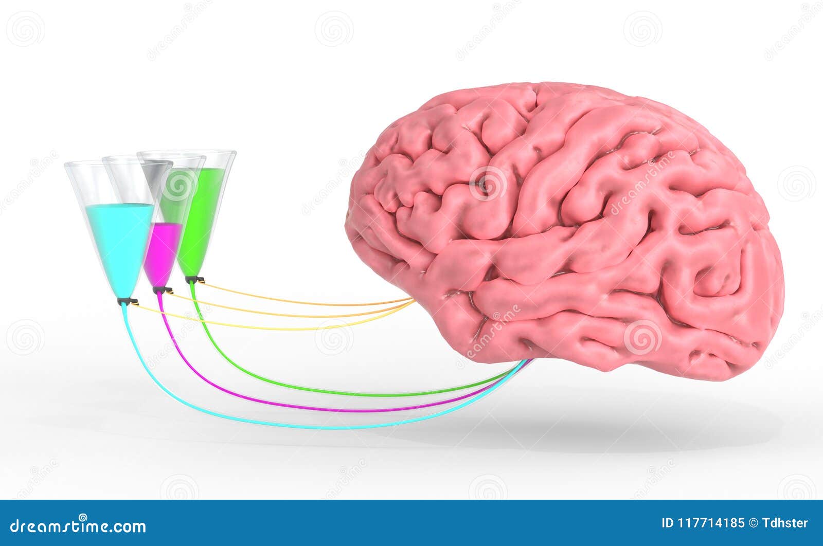 Brain Control of Human Hormones and Emotions. 3d Illustration Stock ...