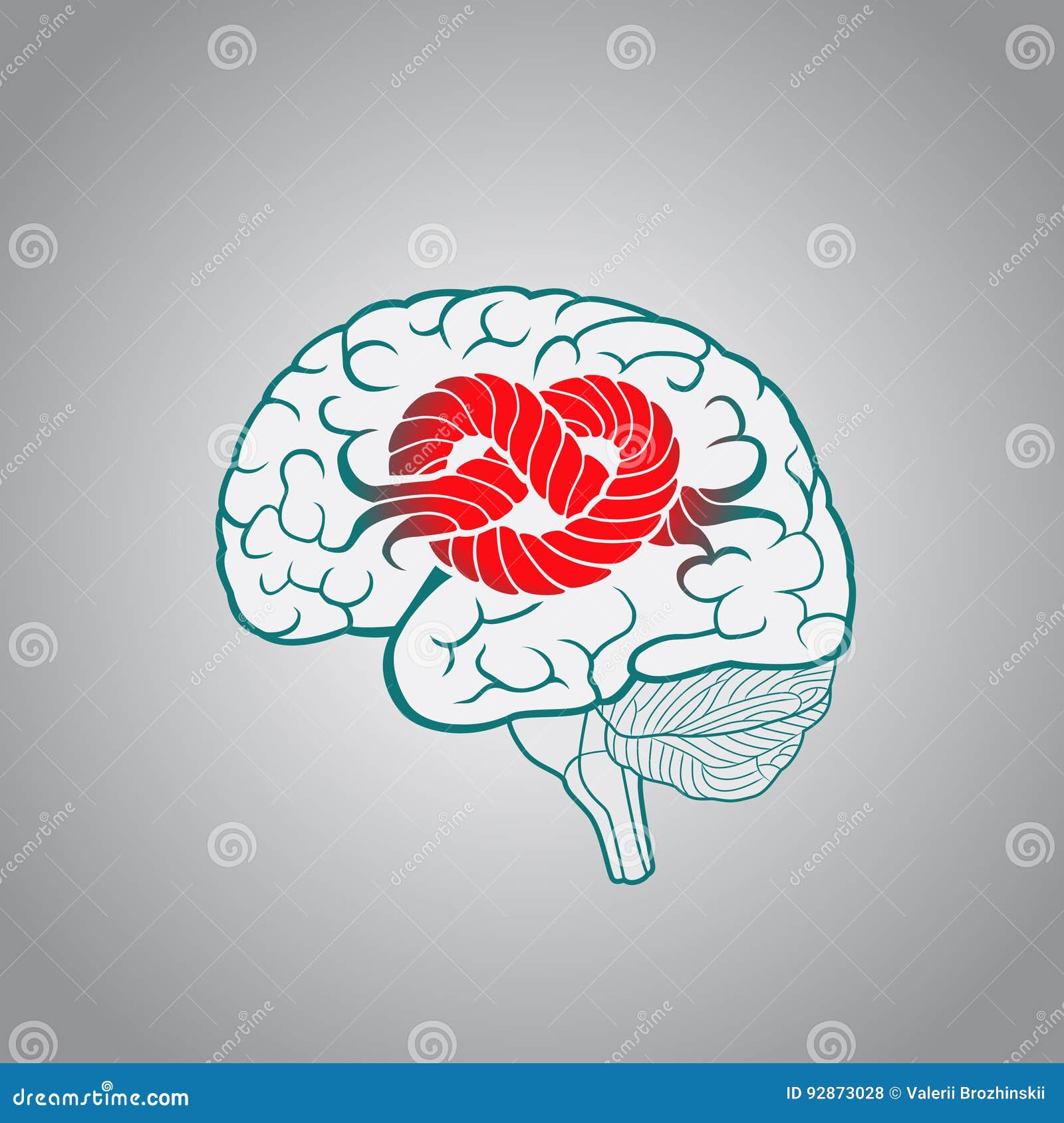 Brain with Convolutions Associated To the Knot Stock Illustration ...