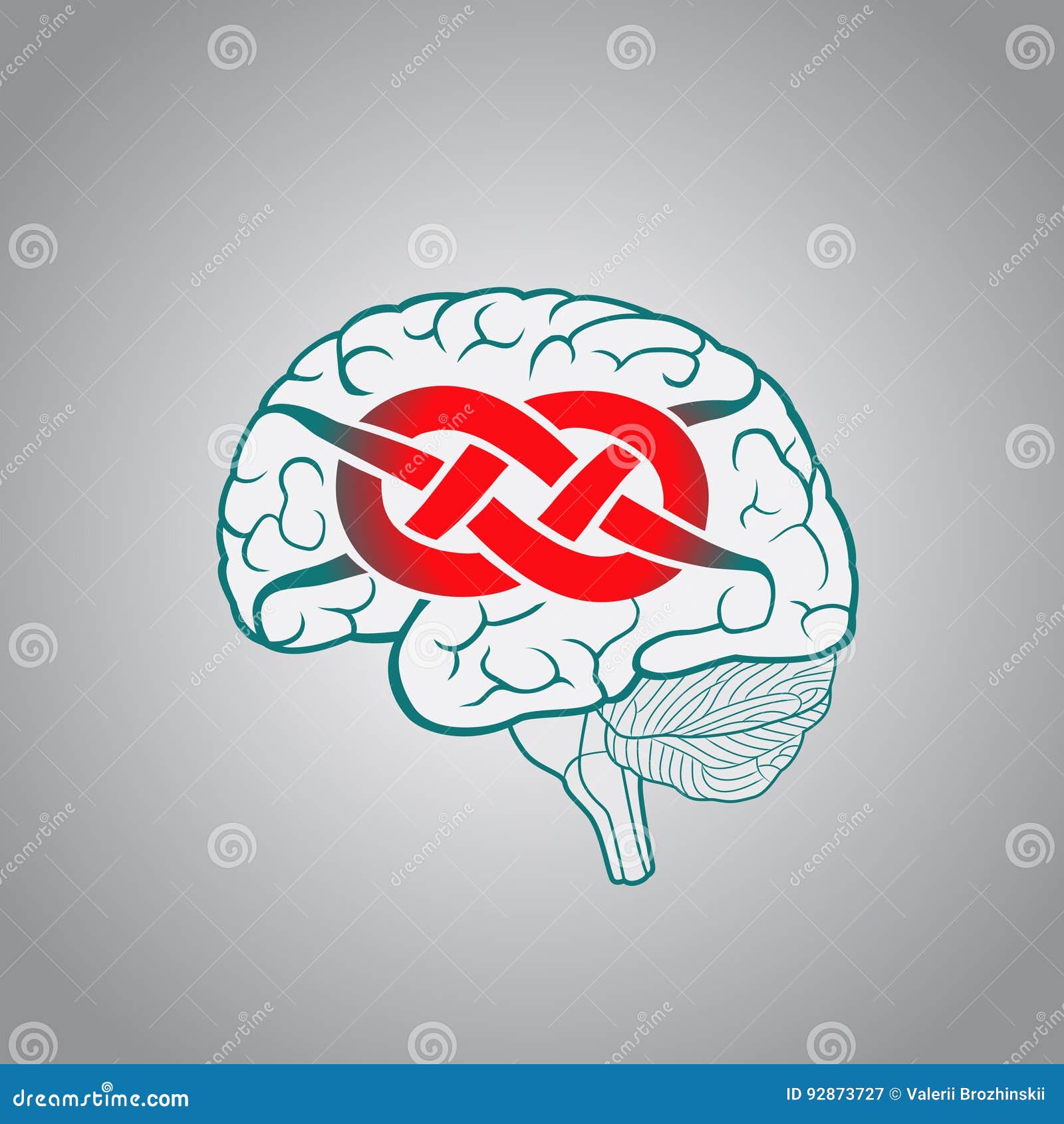 Brain with Convolutions Associated To the Knot Stock Illustration ...