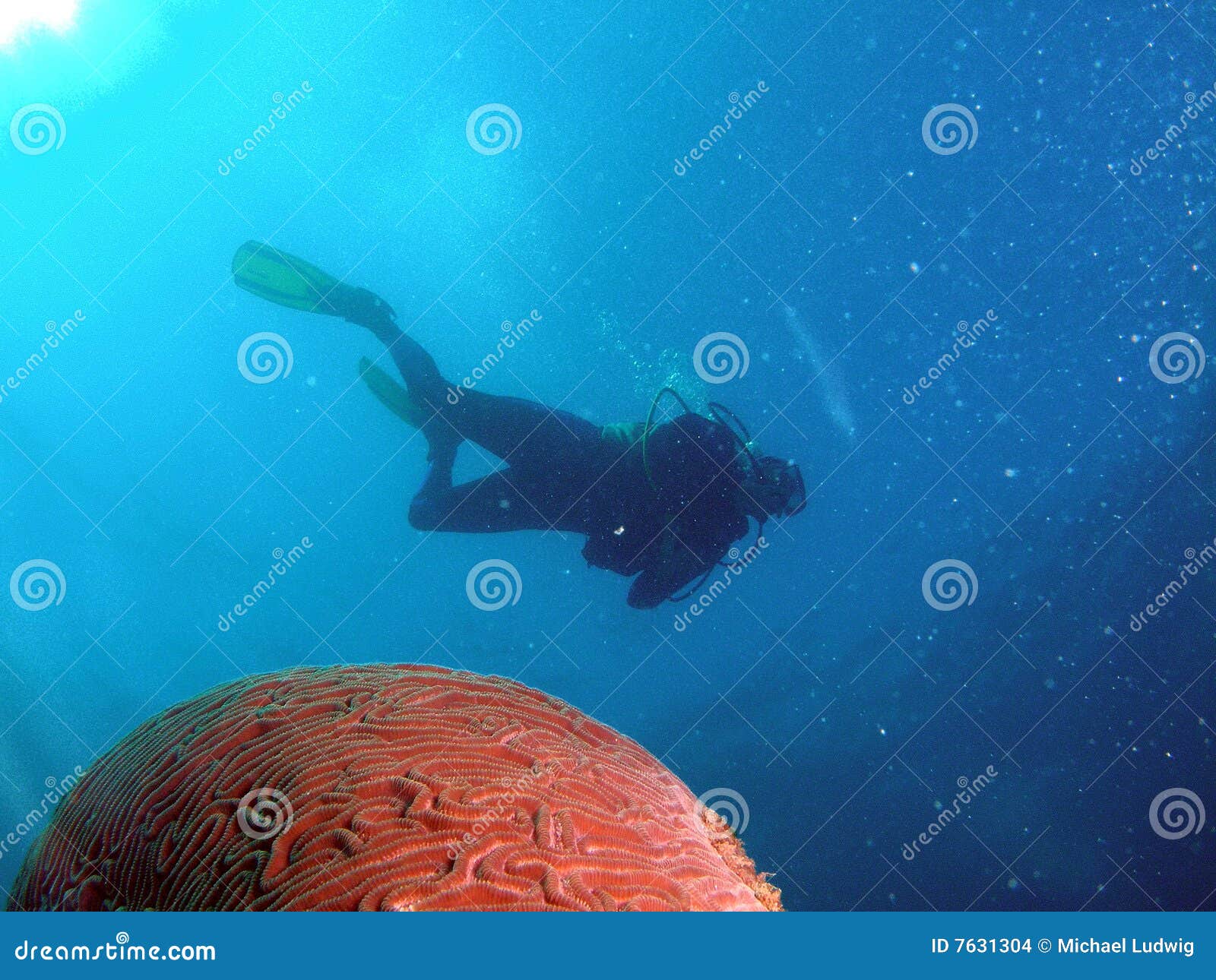 Diverin Background Stock Photos - Free & Royalty-Free Stock Photos from ...