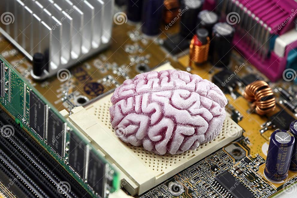 Brain CPU on motherboard stock photo. Image of closeup - 3015604