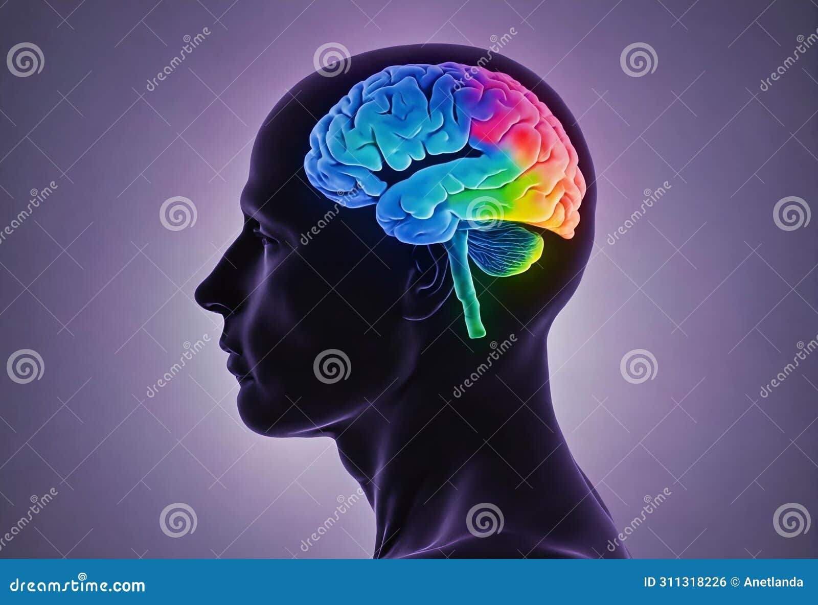Brain Creativity Psychology Mind Stock Illustration - Illustration of ...