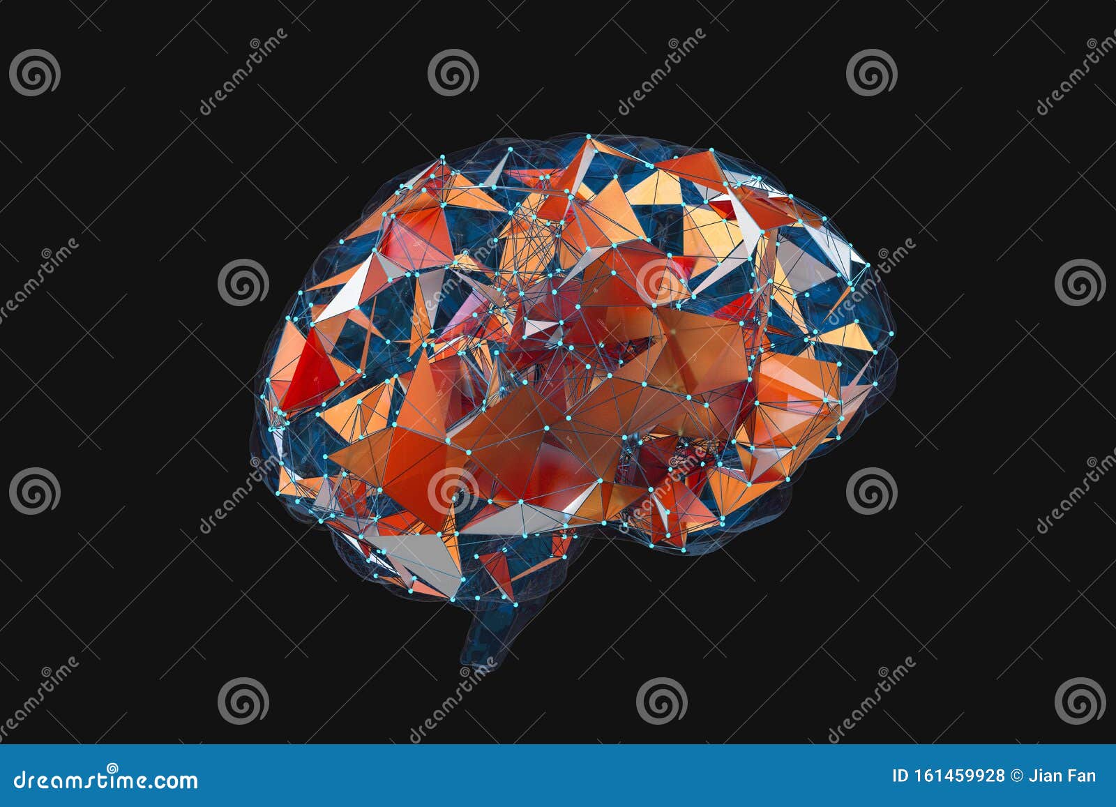 Anatomical Head Organ Human Brain Vintage Color Vector | CartoonDealer ...