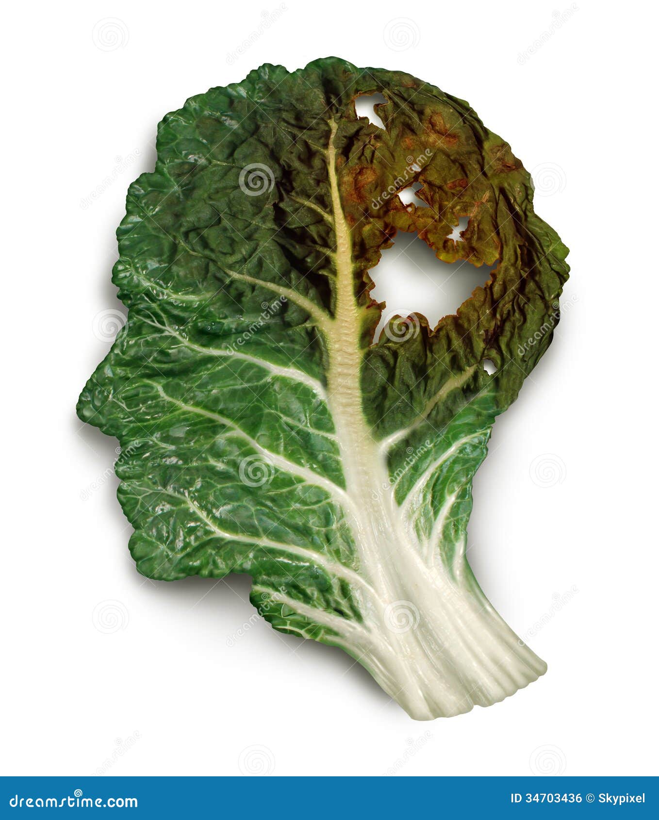 Brain Decay stock de ilustración. Ilustración de inteligencia - 34703436