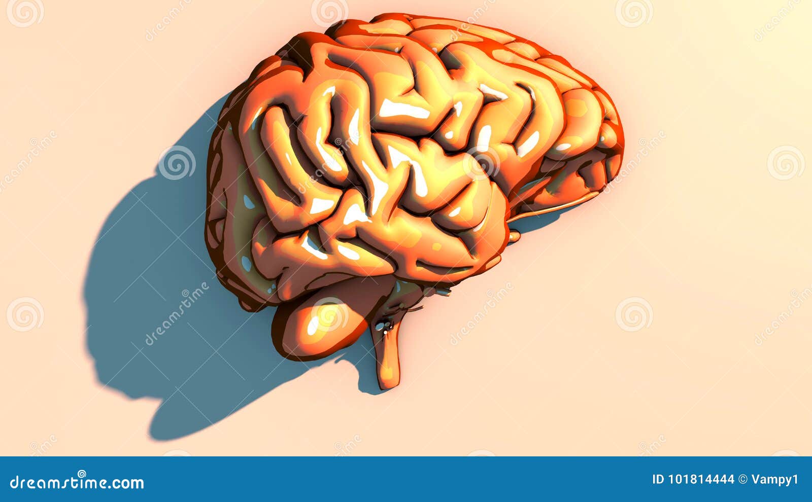 Brain Degenerative Diseases, Parkinson, Synapses, Neurons, Alzheimer`s ...