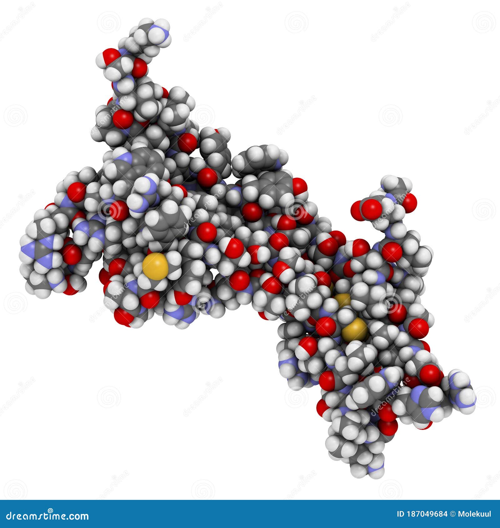 Brain-derived Neurotrophic Factor (BDNF) Protein Molecule Stock ...