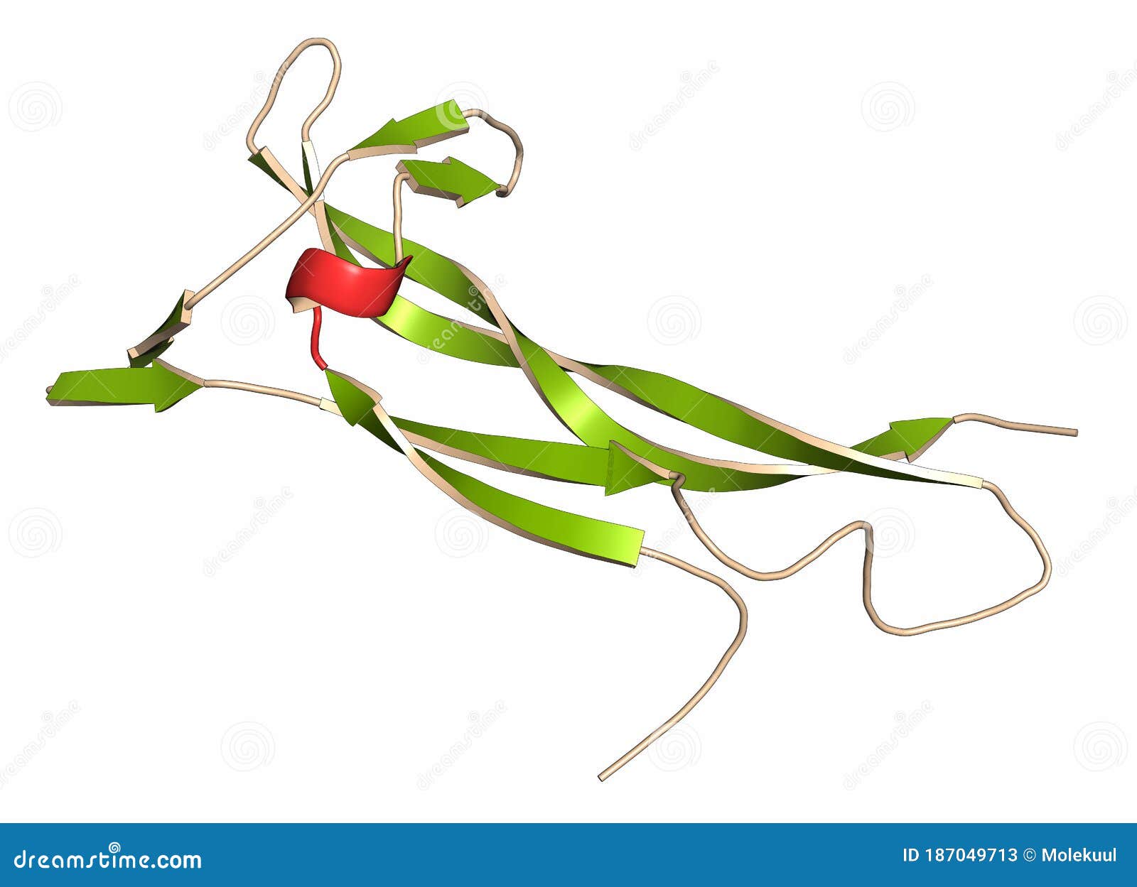 Brain-derived Neurotrophic Factor (BDNF) Protein Molecule Royalty-Free ...