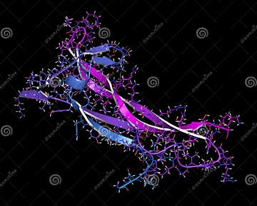 Brain-derived Neurotrophic Factor (BDNF) Protein Molecule Stock ...