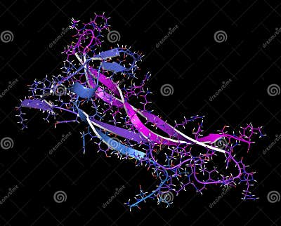 Brain-derived Neurotrophic Factor (BDNF) Protein Molecule Stock ...