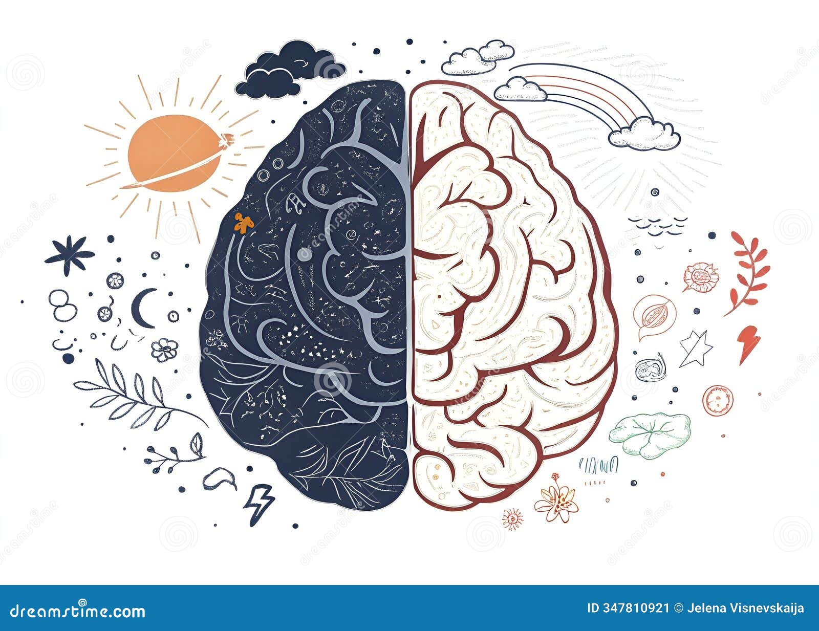 A Brain Divided into Two Halves, with Each Half Having a Different ...