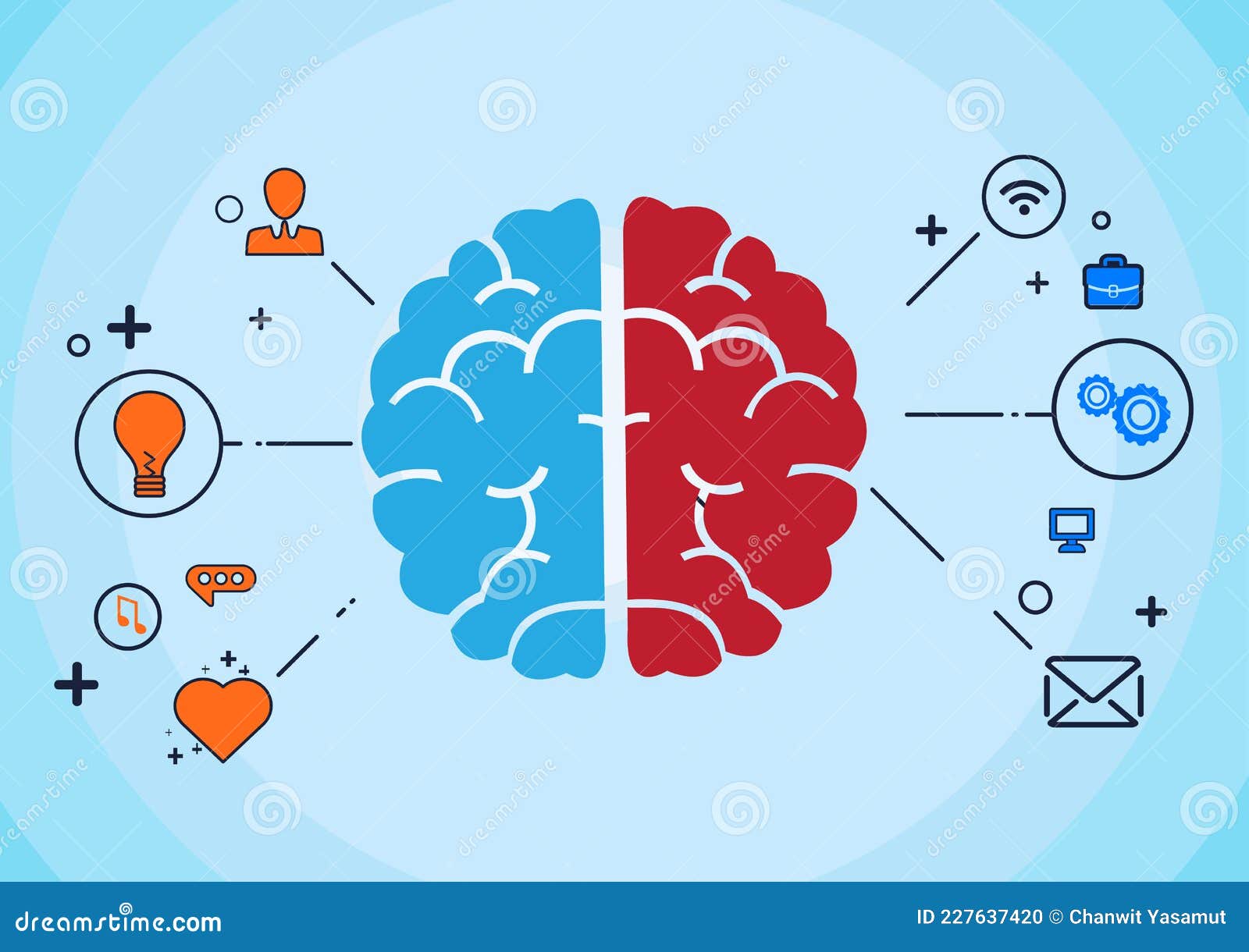 The Brain is Divided into Two Hemispheres. the Left Hemisphere is ...