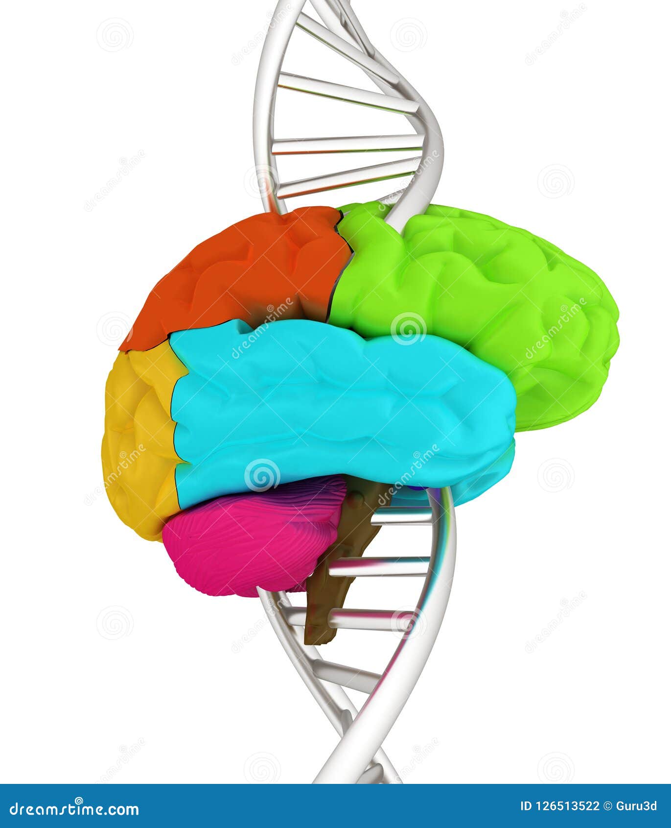 Brain and Dna. 3d Illustration Stock Illustration - Illustration of ...