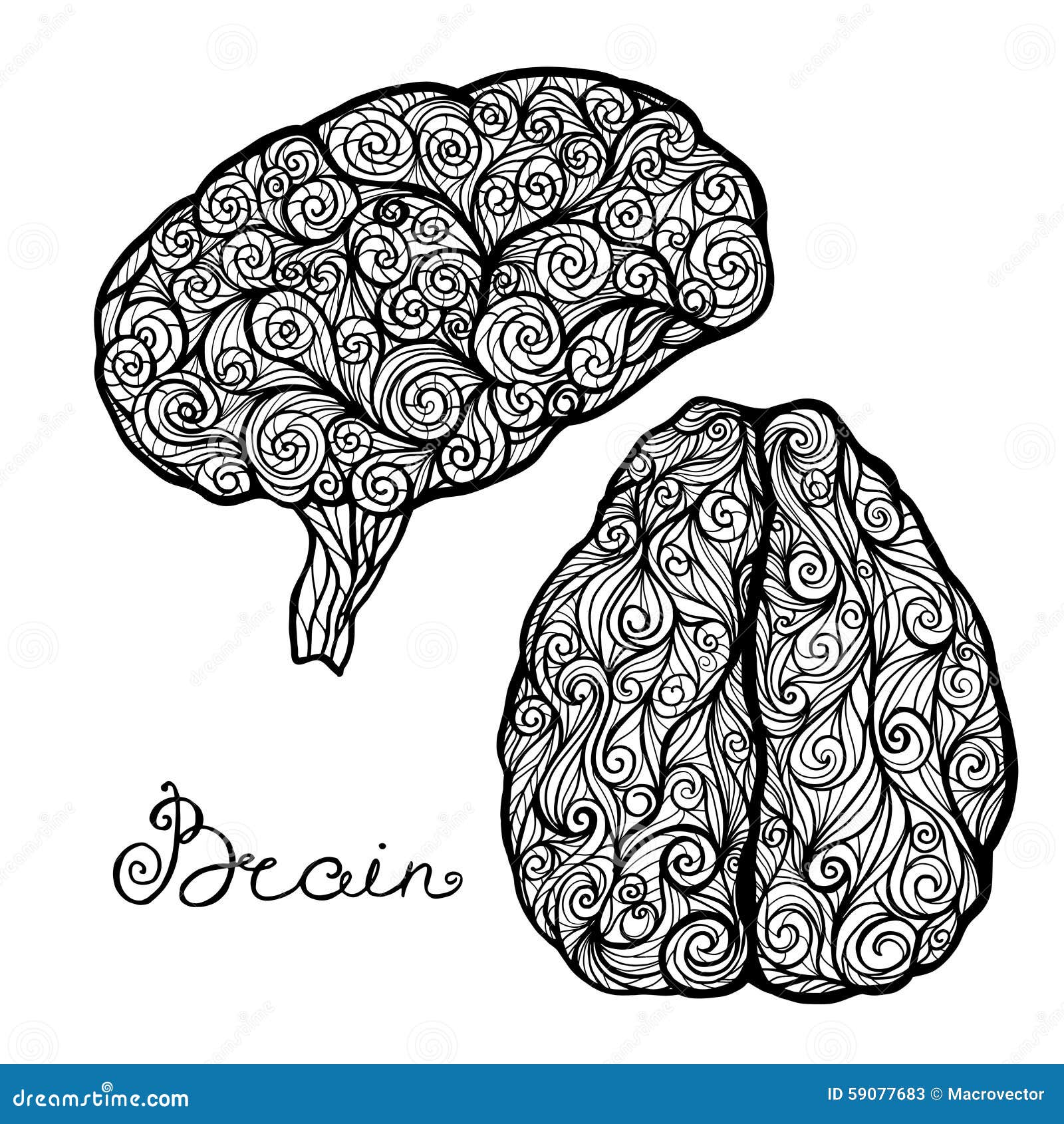 Brain Doodle Set stock vector. Illustration of business - 59077683