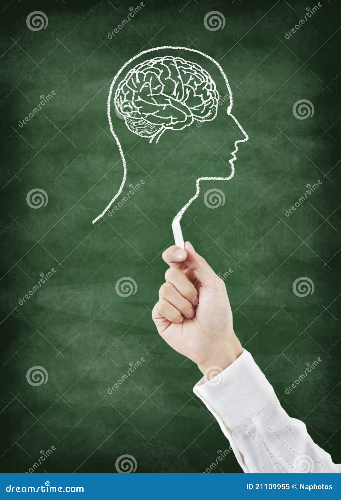 Brain Drawing on Chalkboard Stock Image - Image of cerebral, creativity ...