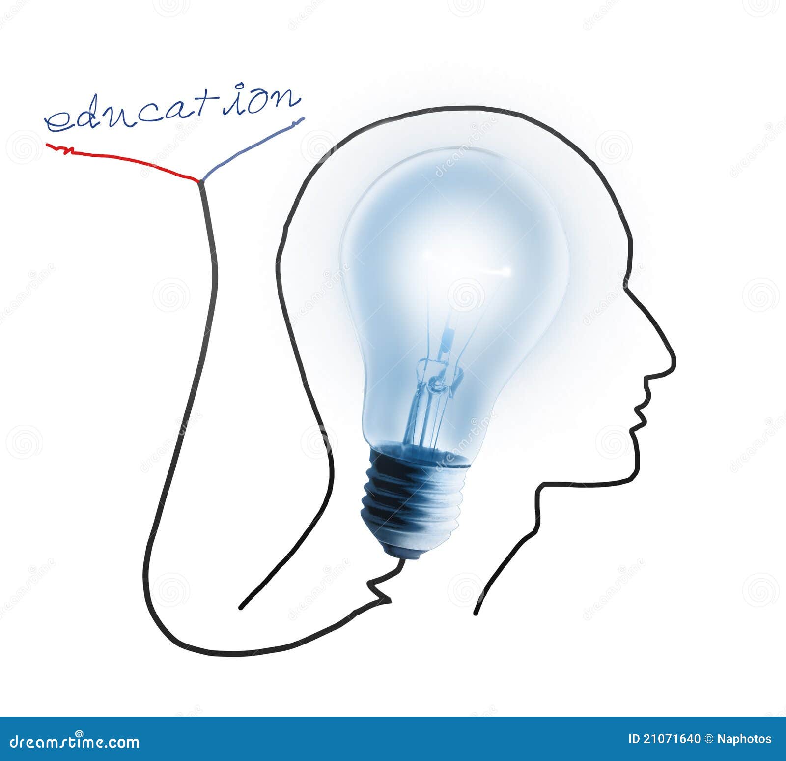 Brain Drawing with Light Bulb Stock Illustration - Illustration of ...